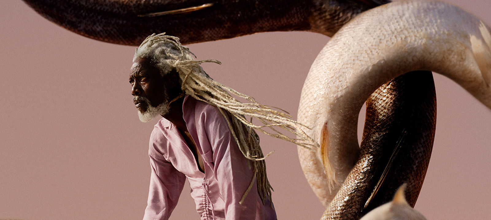 Drown in my Magic: David Uzochukwu Interview